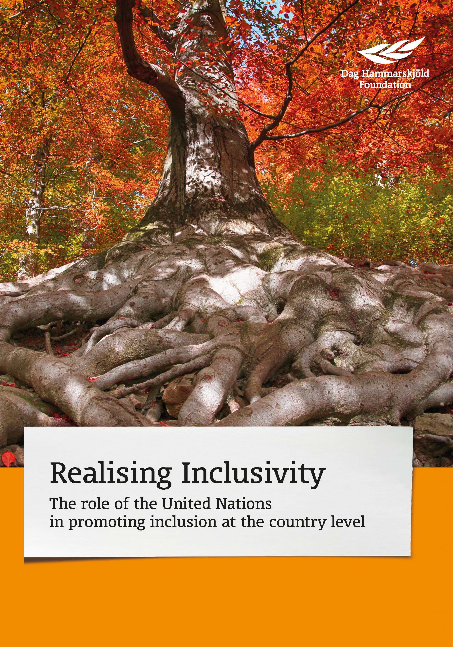 Realising Inclusivity: The role of the United Nations in promoting ...